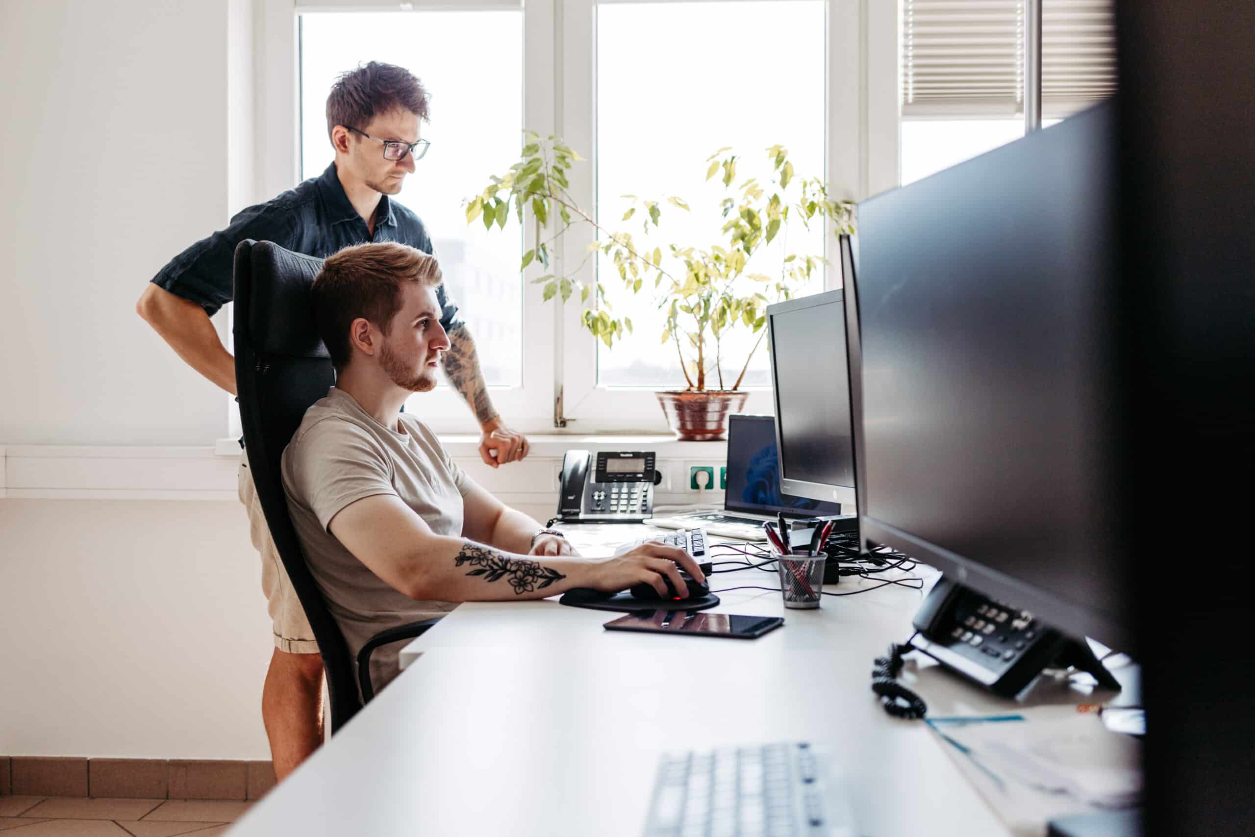 Software - und Webentwicklung